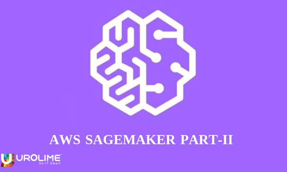 AWS Sagemaker Part-II - Urolime Blogs